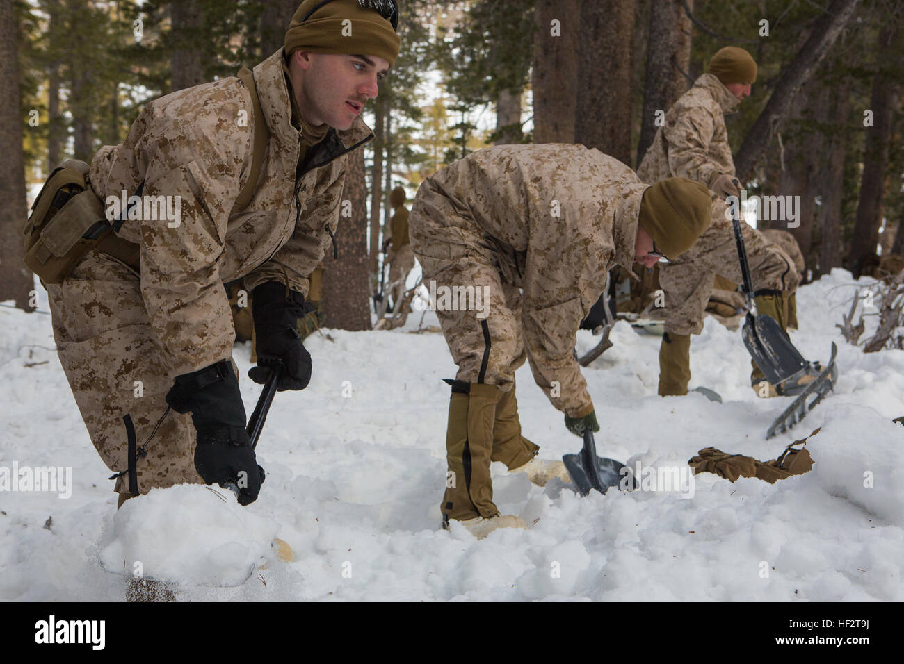U.S. Marines with Combat Logistics Battalion 26, 2nd Marine Logistics ...