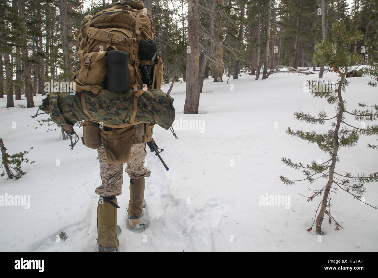 A Marine with Combat Logistics Battalion 26, Headquarters Regiment, 2nd ...