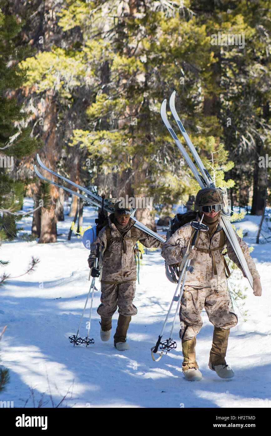 U.S. Marines with Combat Logistics Battalion 26, 2nd Marine Logistics ...