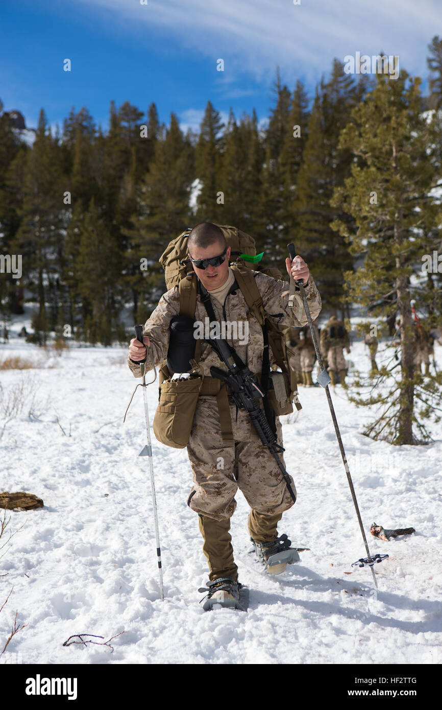 Marines with Combat Logistics Battalion 26, 2nd MLG conduct training at ...
