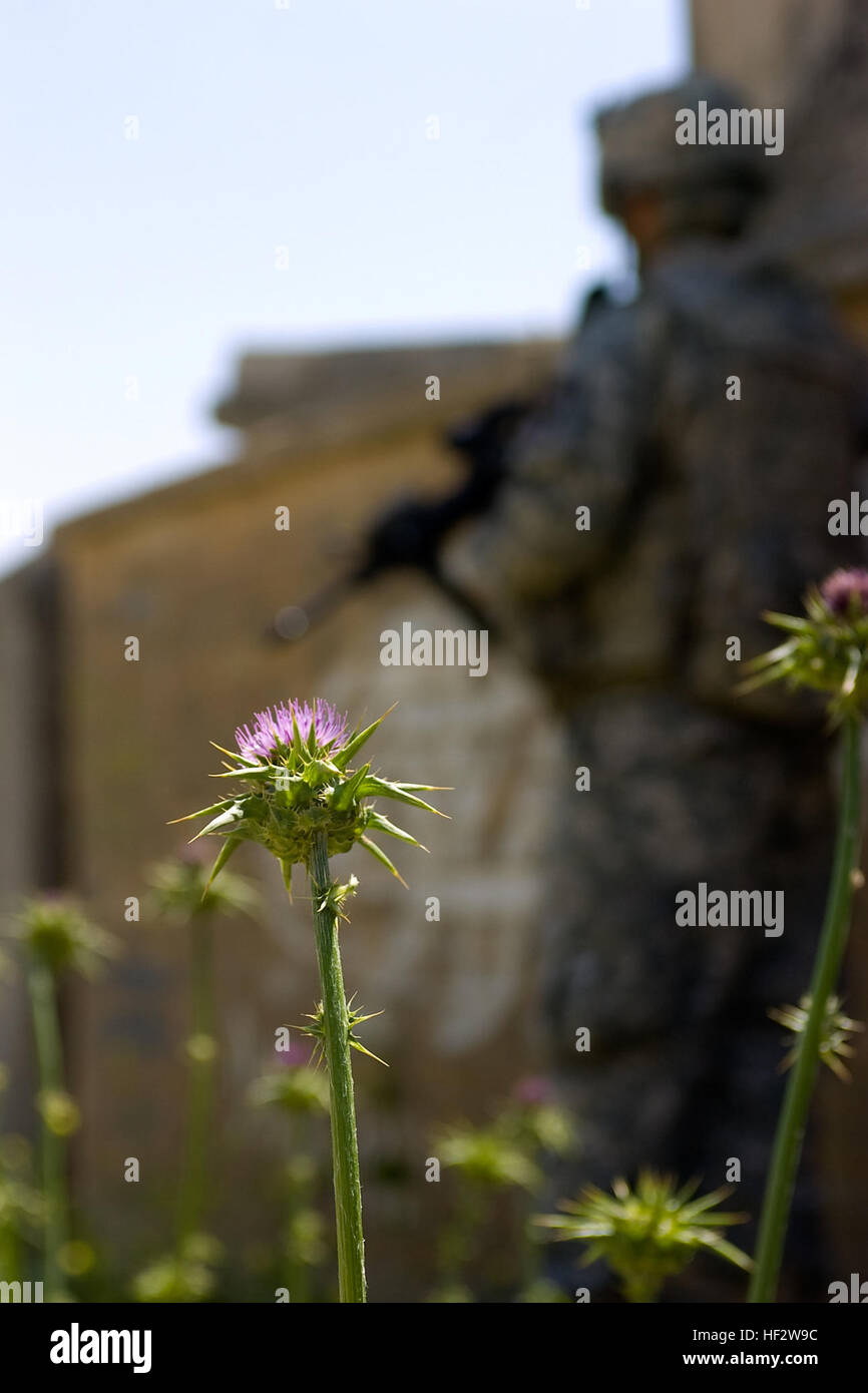 U.S. Army Sgt. Adam Rondon, an infantryman from Huston, Texas, attached ...