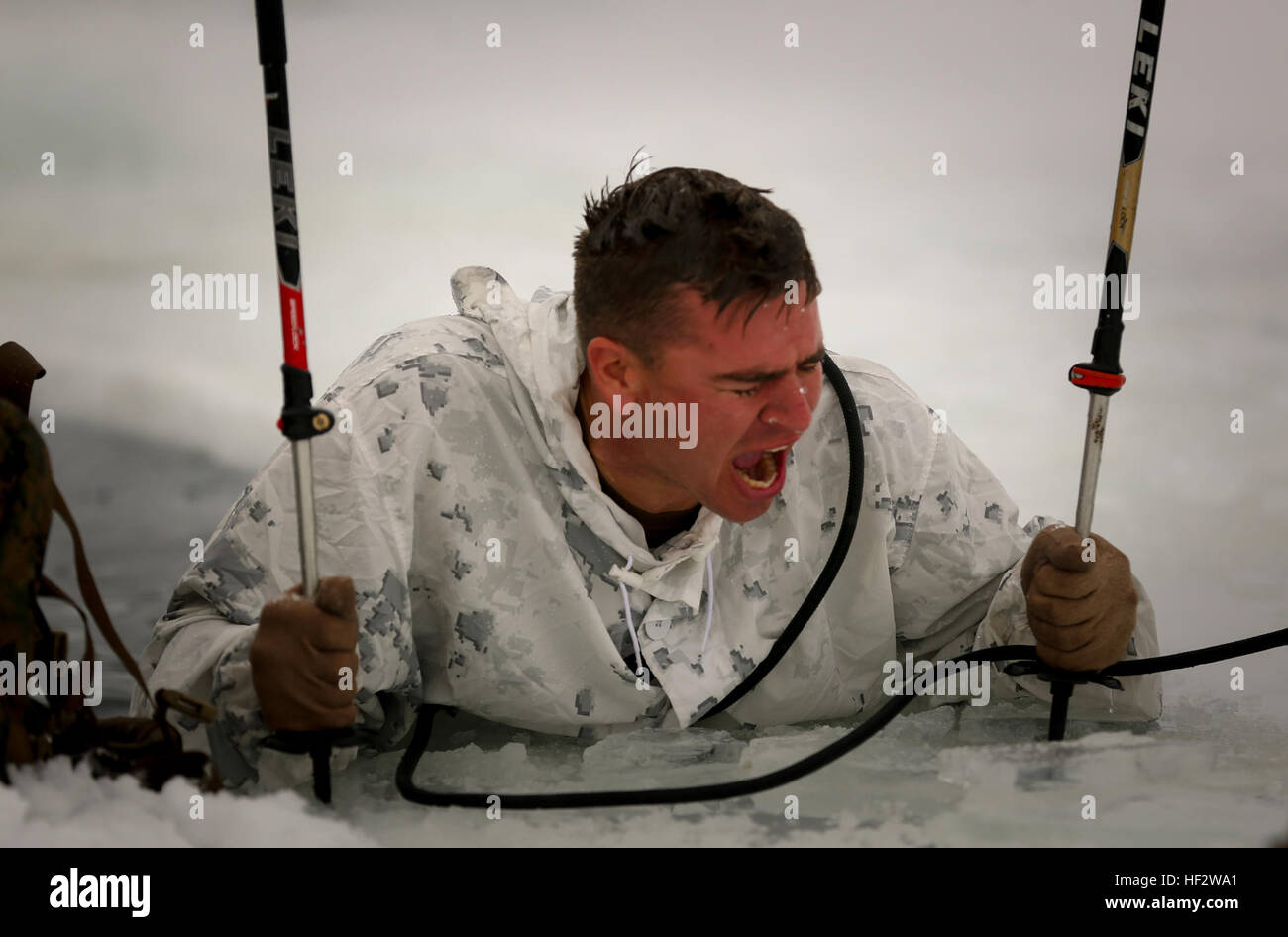 Animal packers course hi-res stock photography and images - Alamy