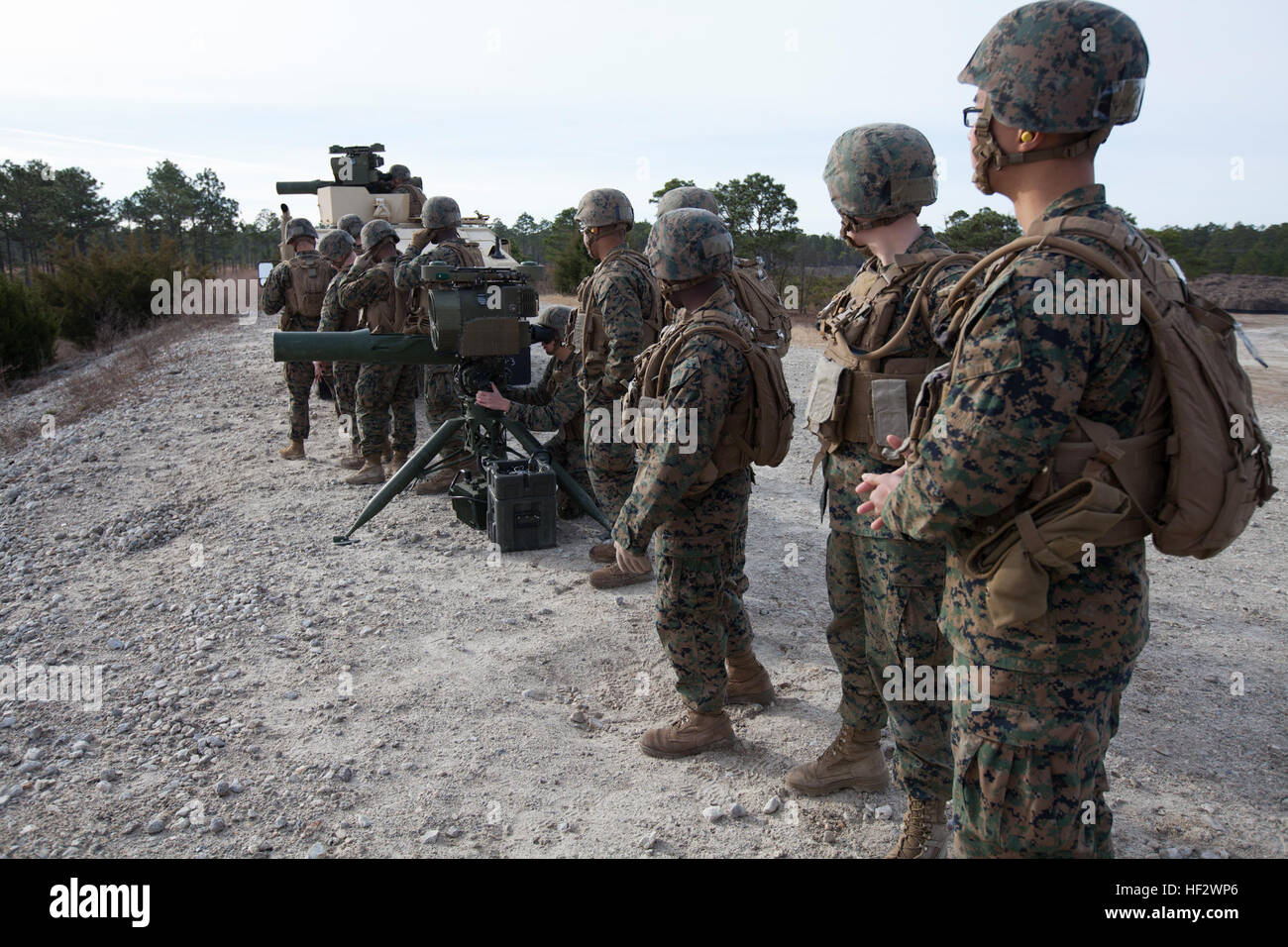 U.S. Marines with Delta Company, Infantry Training Battalion, School of ...