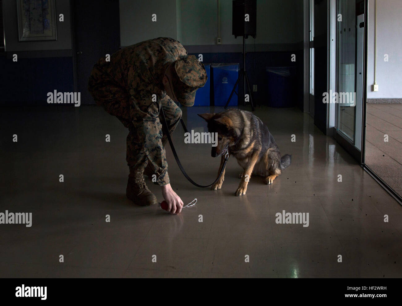 During detection training exercise hi-res stock photography and images ...