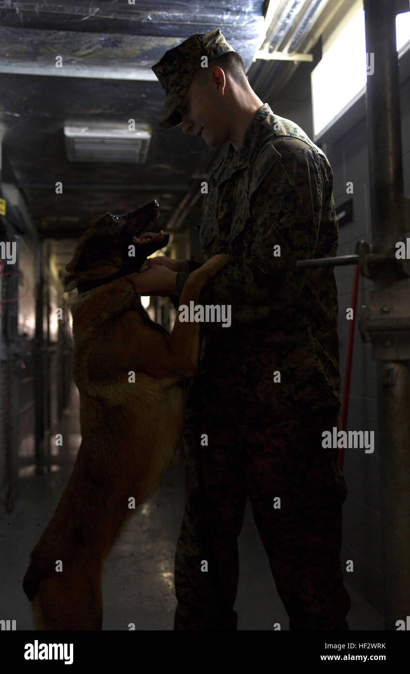 KADENA AIR BASE, OKINAWA, Japan – Lance Cpl. Wilson Ferreira, a Queens ...