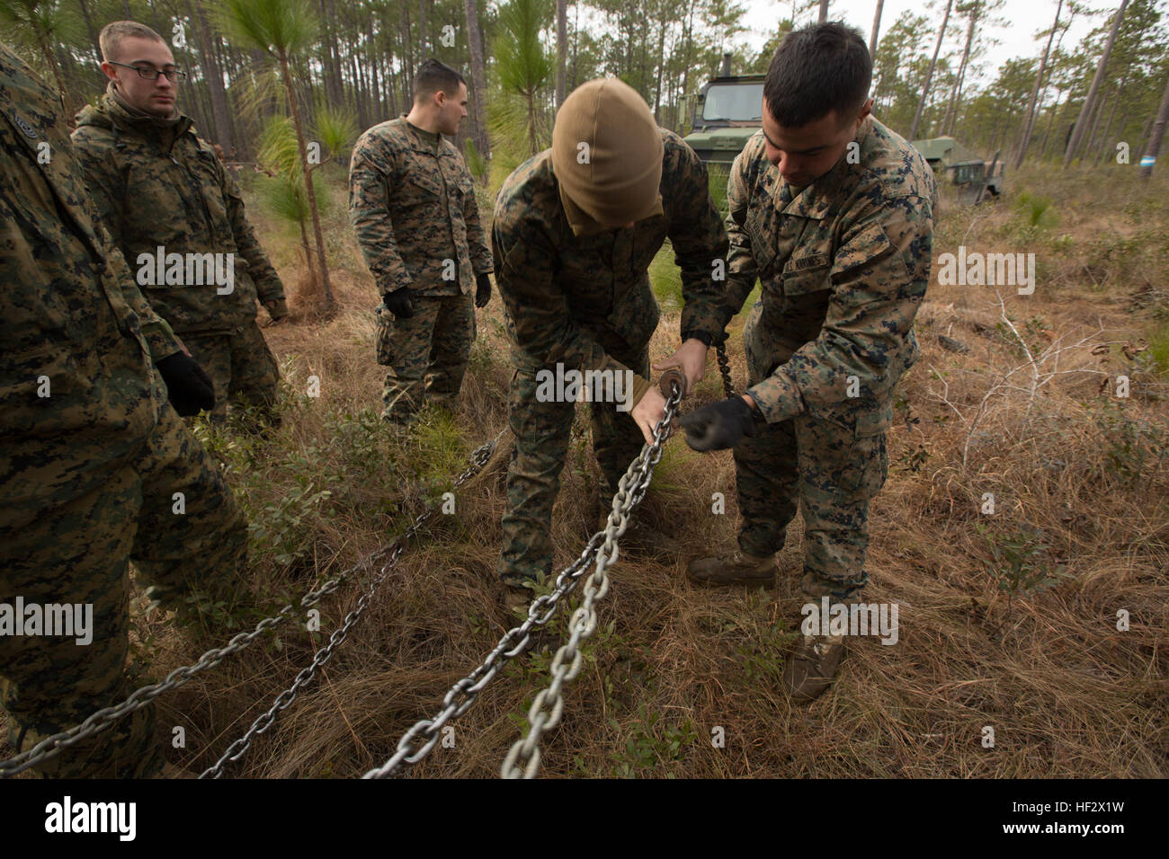 2d laad hi-res stock photography and images - Alamy