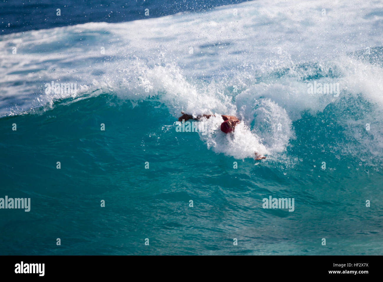 Temblador hi-res stock photography and images - Alamy