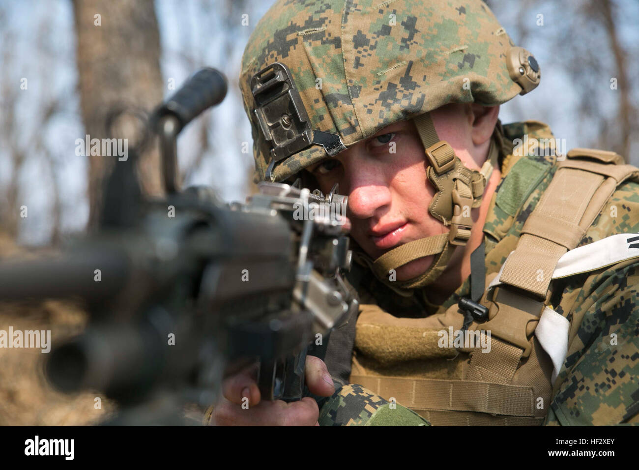 Nick a foss hi-res stock photography and images - Alamy