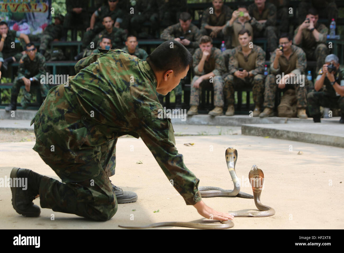 A Thai military instructor, known as “The Snake Man,” demonstrates how ...