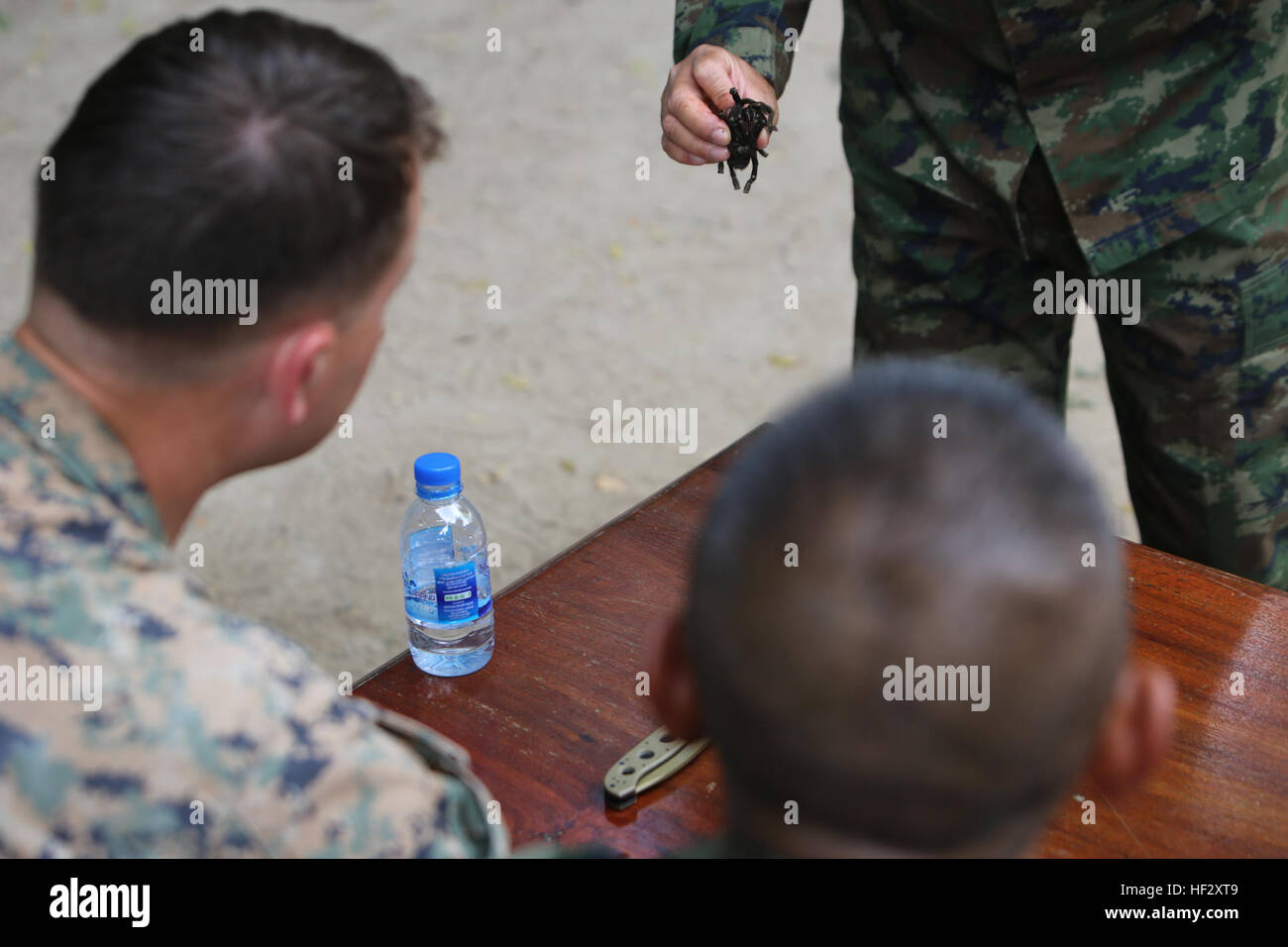 A Thai military instructor, known as “The Snake Man,” shows U.S., Royal ...