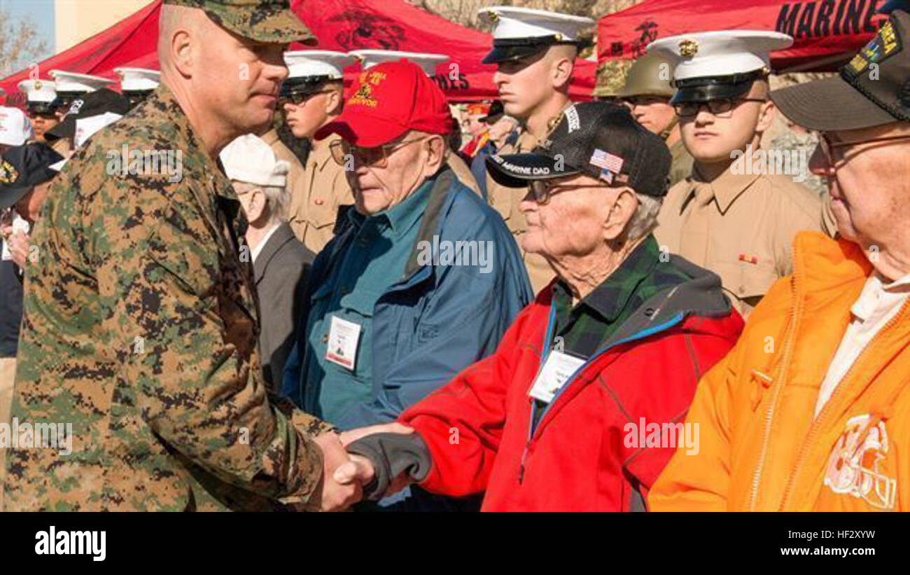 Col. Wayne Harrison, commanding officer of the Marine Artillery ...