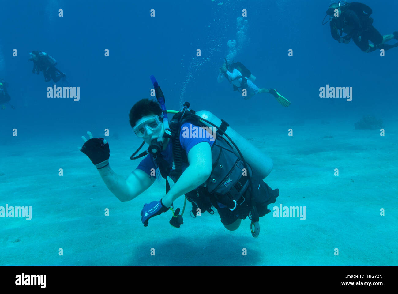 Retired Army Staff Sgt. Timothy Payne scuba dives just off the coast of ...