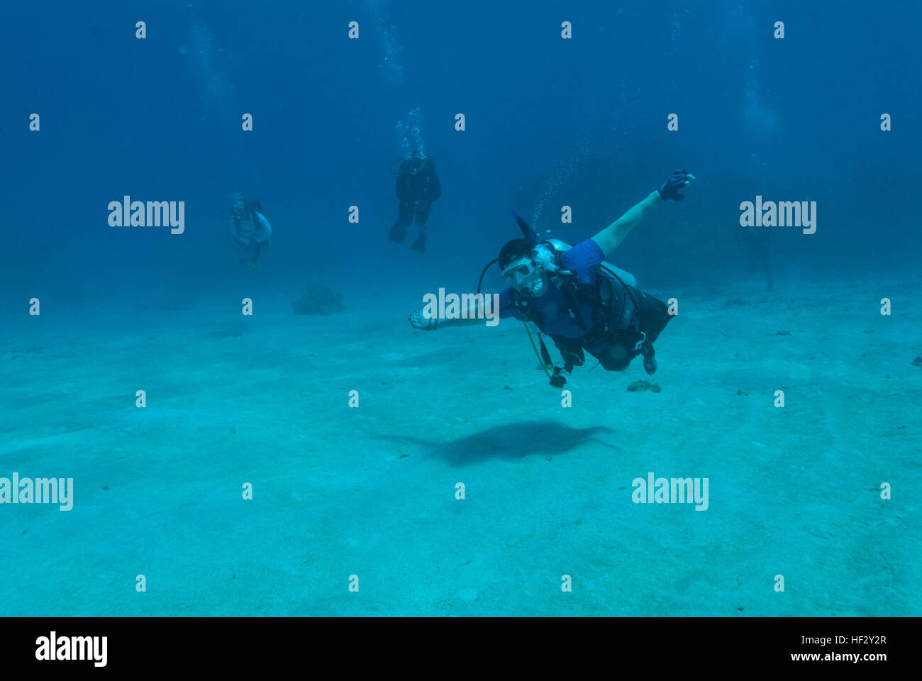 Retired Army Staff Sgt. Timothy Payne scuba dives just off the coast of ...