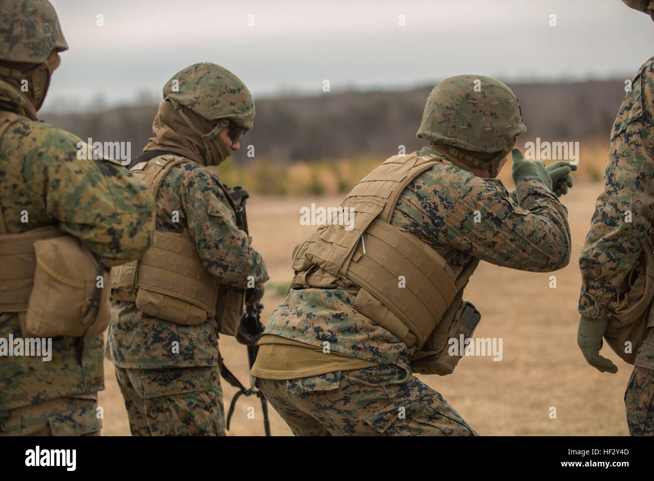 2d Tsb High Resolution Stock Photography and Images - Alamy