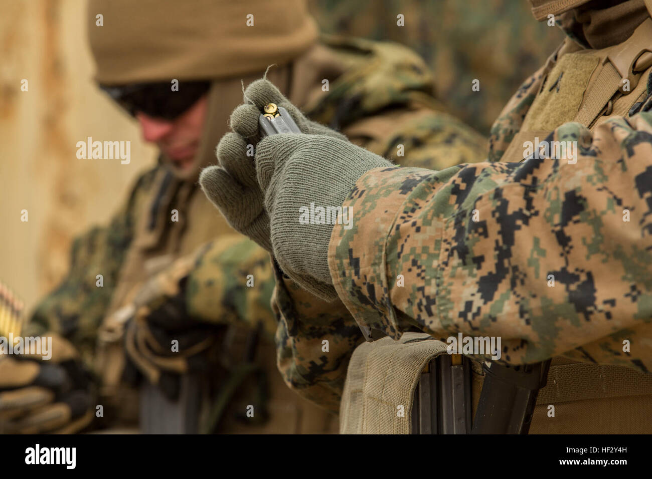 2d Tsb High Resolution Stock Photography and Images - Alamy