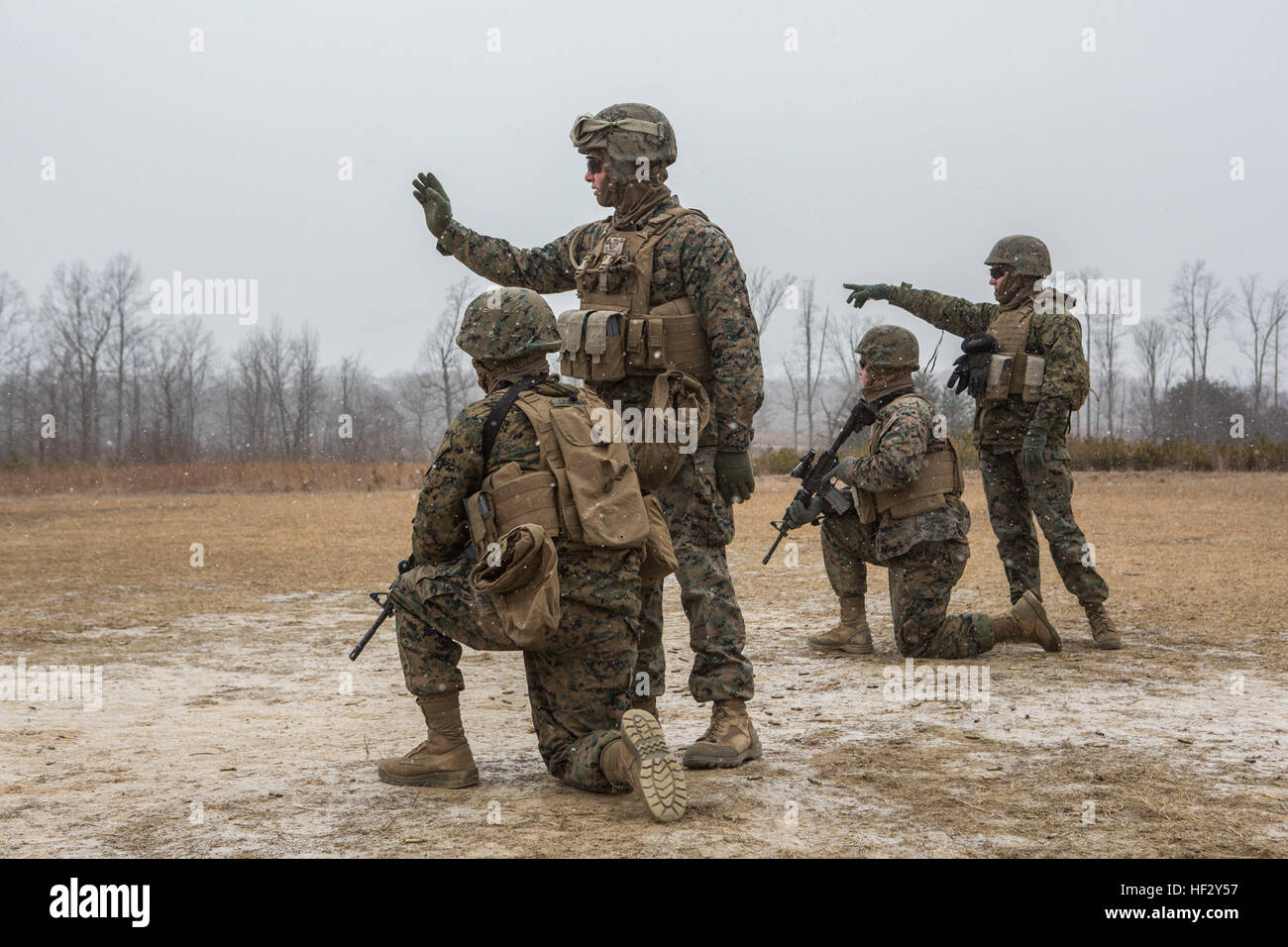 U.S. Marines with Alpha Company, 2nd Transportation Support Battalion ...