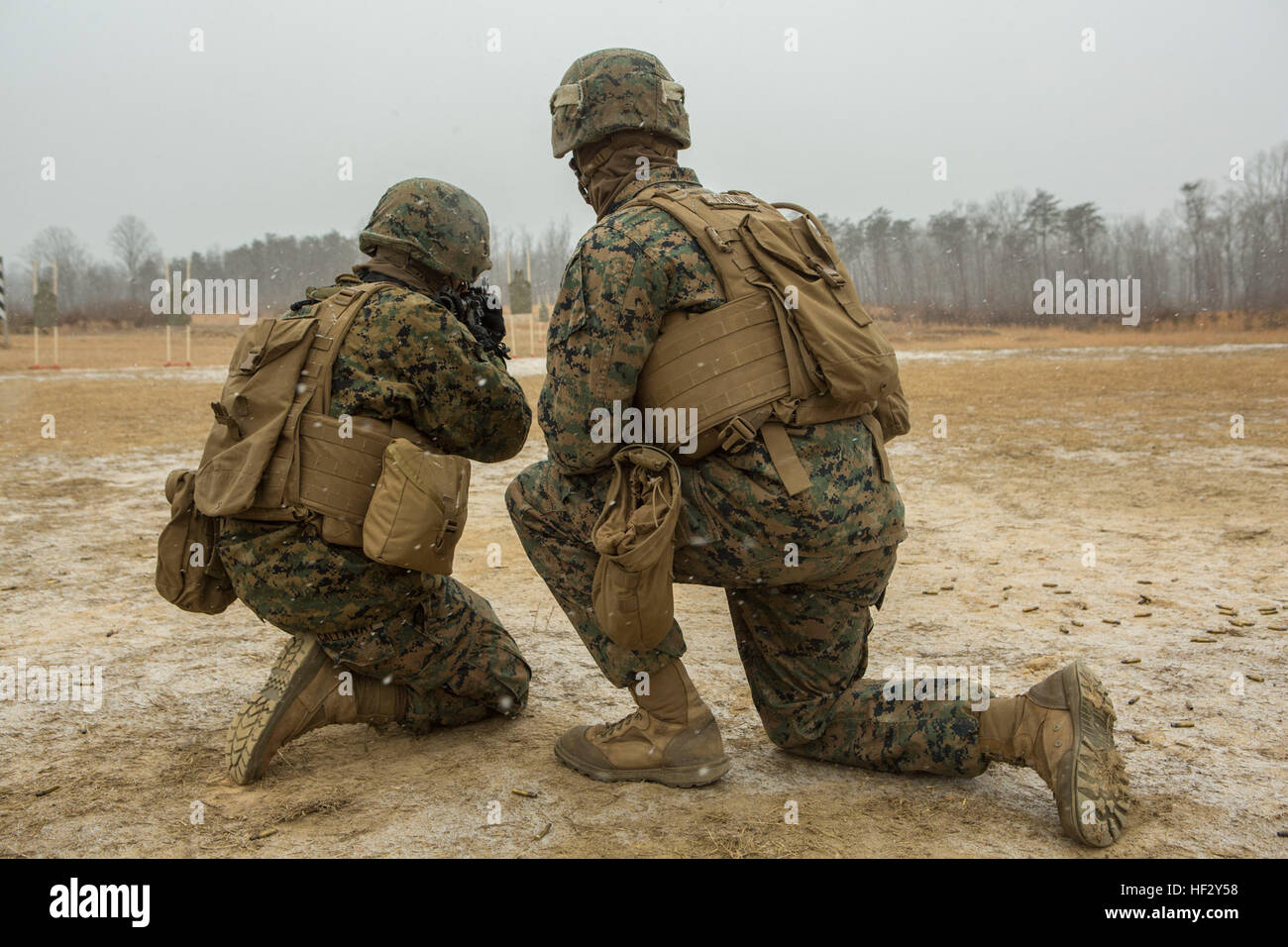 2d Tsb High Resolution Stock Photography and Images - Alamy