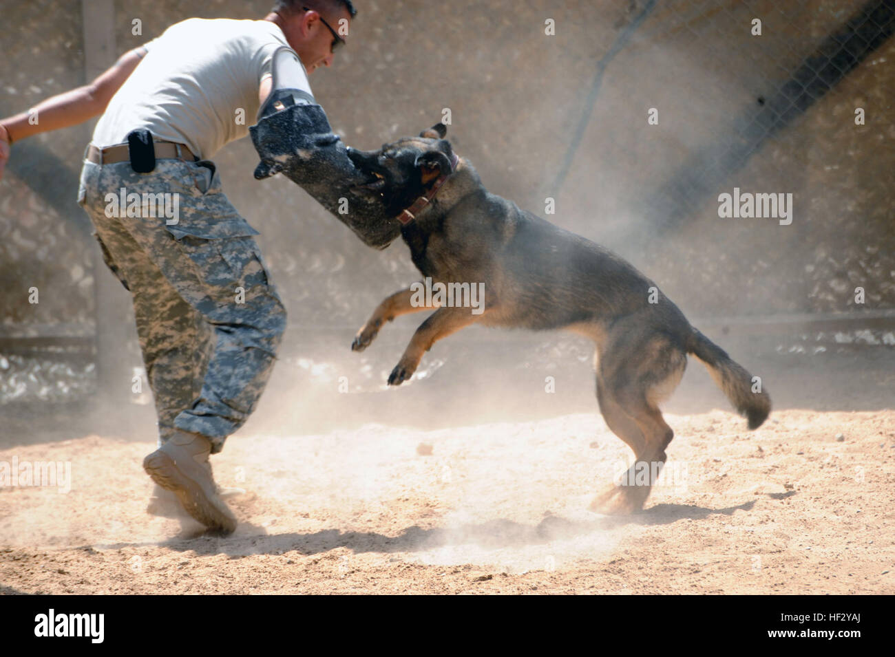 U.S. Army Staff Sgt. Brian Moreno, kennel master attached to 3rd ...