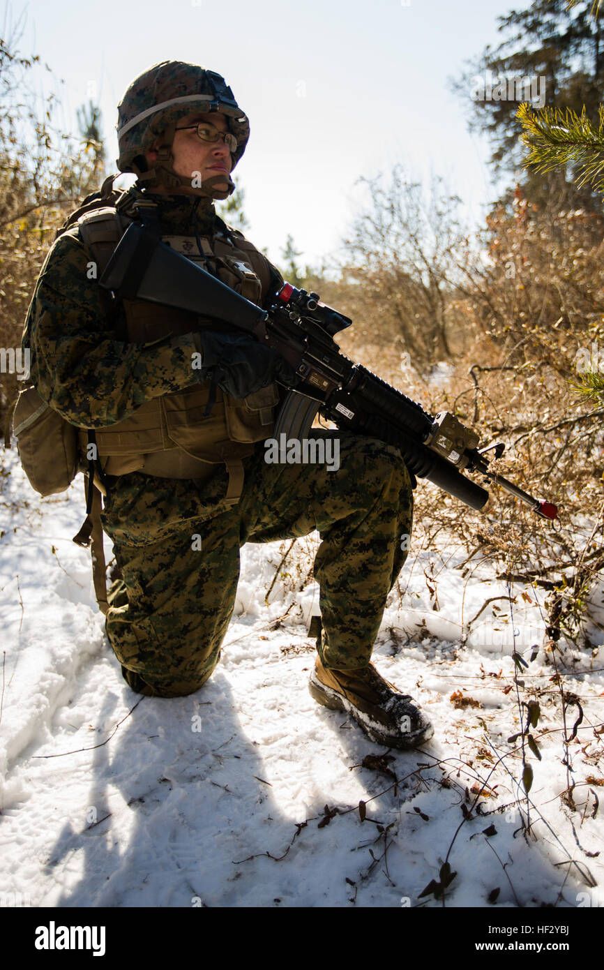 U.S. Marine Corps Lance Cpl. Rubens Clark, rifleman, Alpha Company, 1st ...