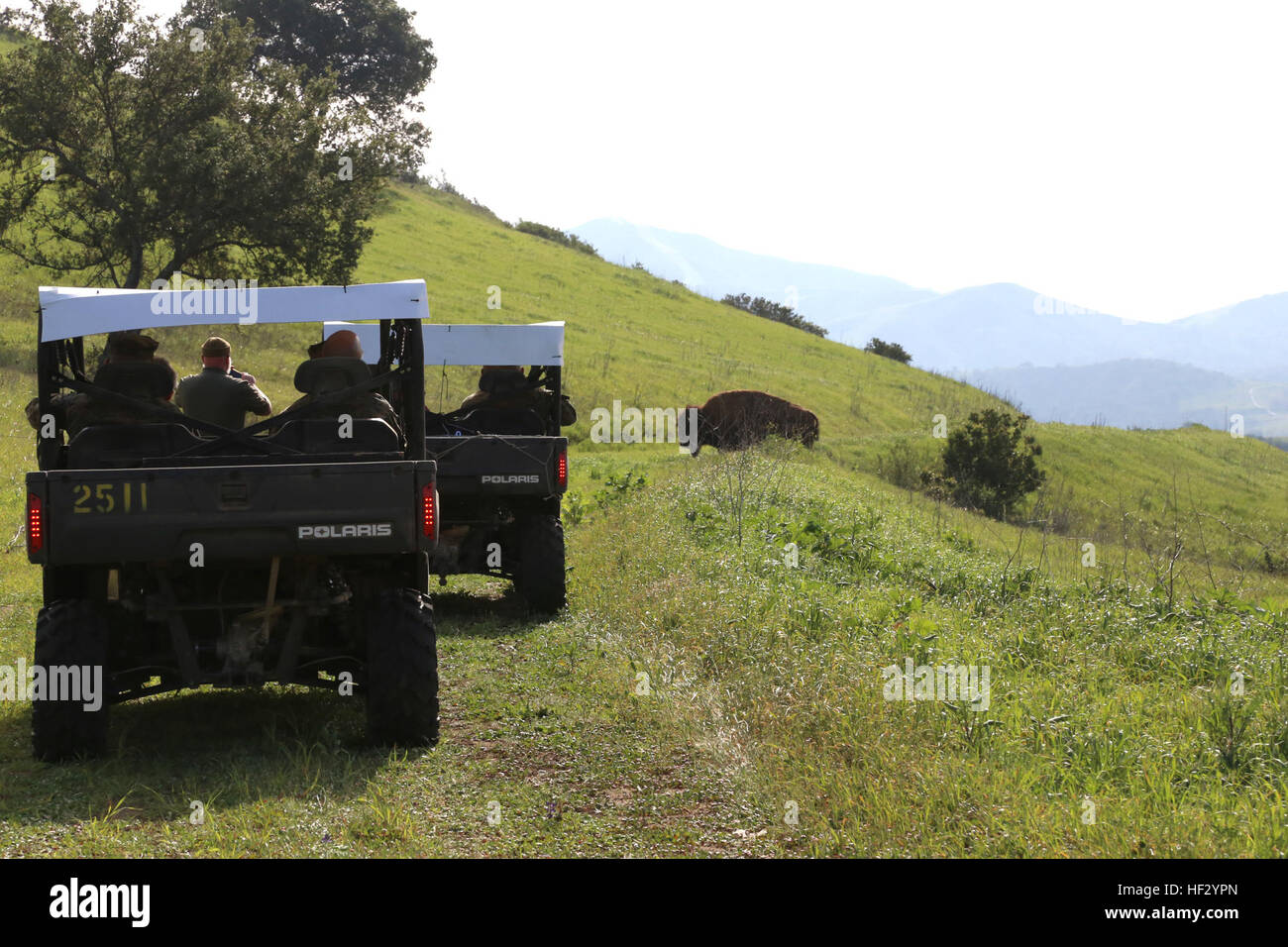 U.S. Marines and Civilian personnel of Marine Corps Installations West ...