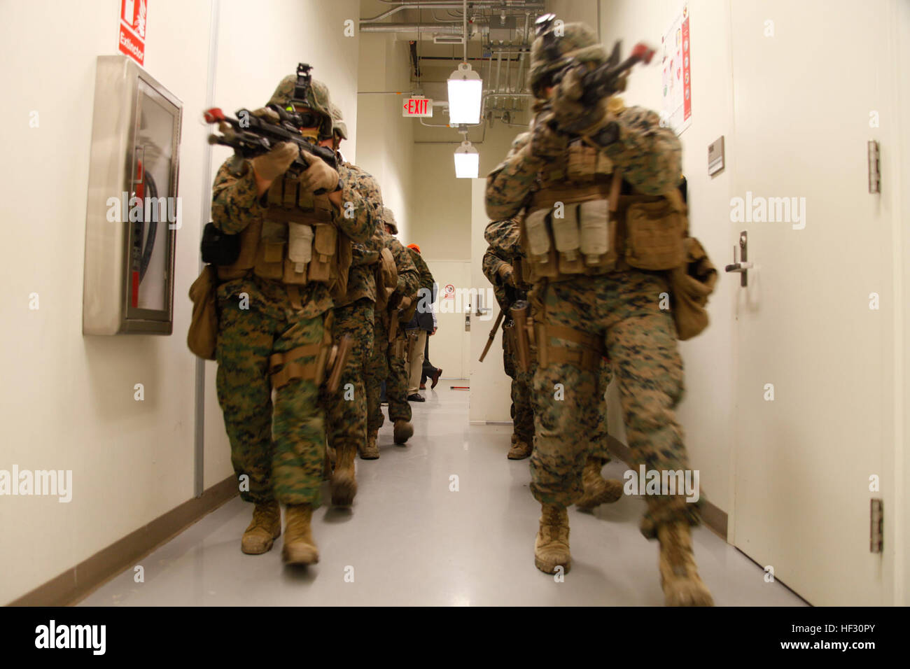 U.S. Marines with Alpha Fleet Anti-terrorism Security Team Company ...