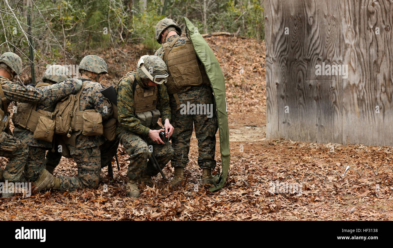 Cpl. Dillon F. Lauesen (second from right), a Combat Engineer with ...