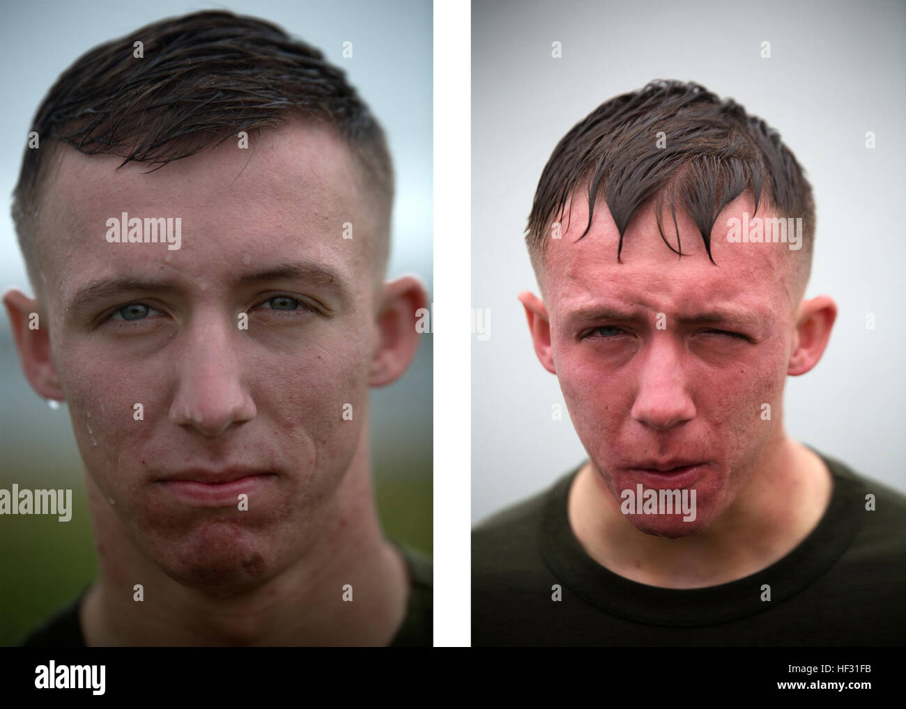 Brett Bolt's Instagram, Twitter & Facebook on IDCrawl