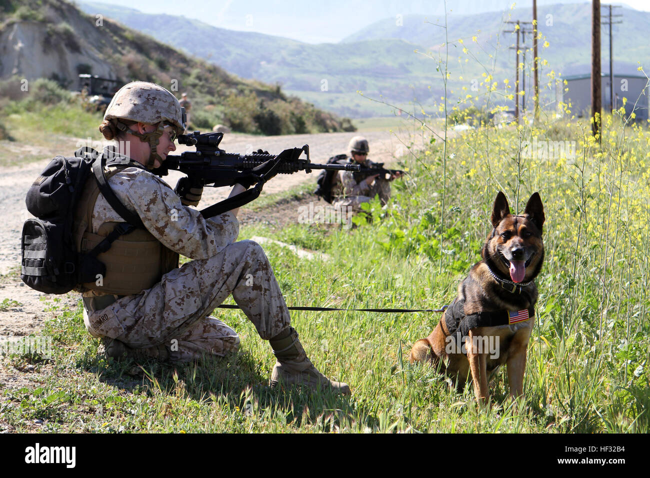 Lance Cpl. Suzette Goddard, military working dog handler, Military ...