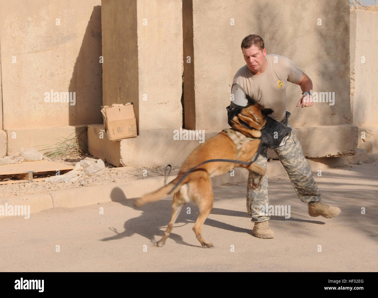Military working dog demonstration hi-res stock photography and images ...