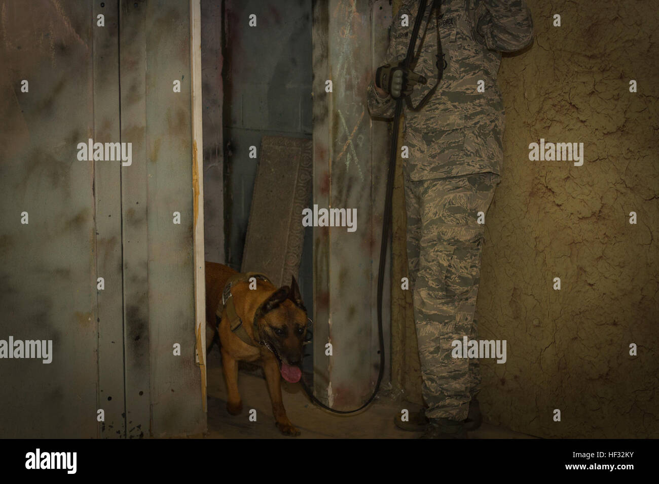 100 security forces squadron hi-res stock photography and images - Alamy