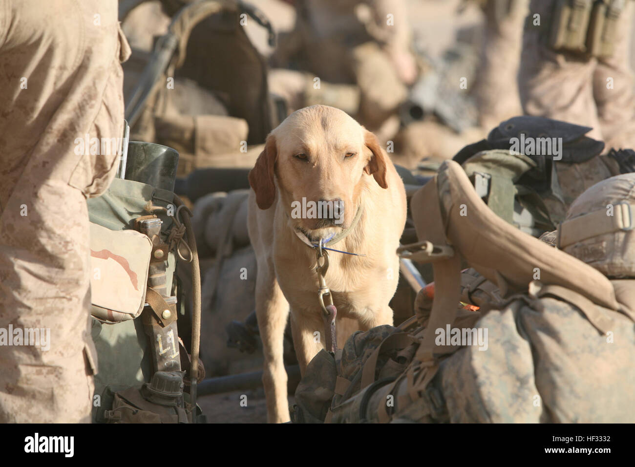 Forward operating base dwyer afghanistan High Resolution Stock ...
