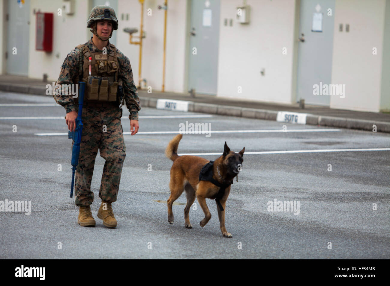 U.S. Marine Corps Cpl. Pete Hernandez, Military Dog Handler, 3rd Law ...