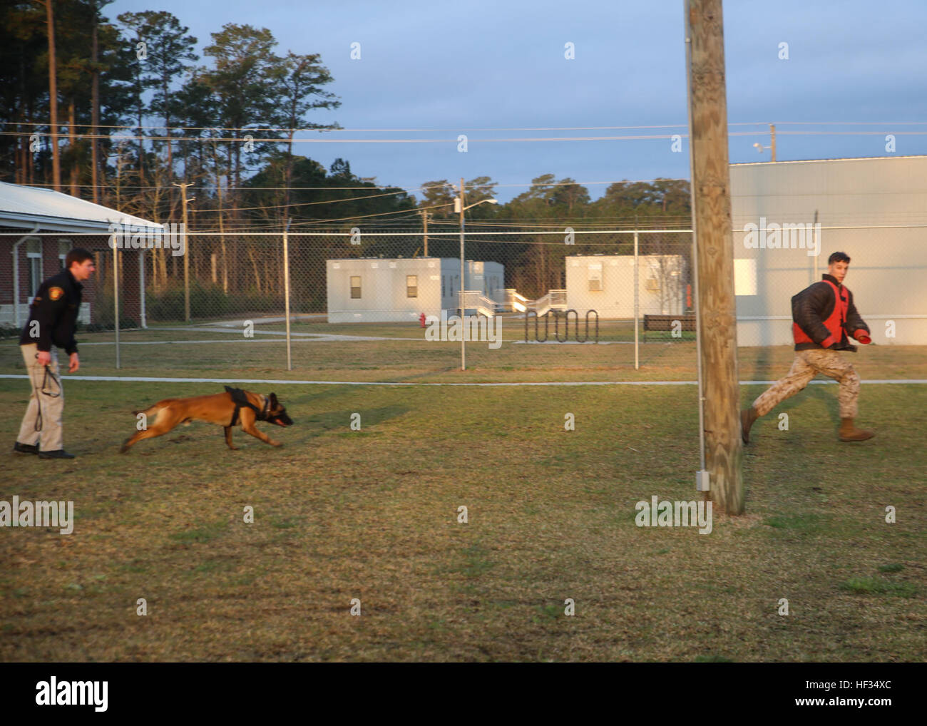 K-9 Ddrago, under the orders of Ryan Pilz (left), K-9 handler with the ...