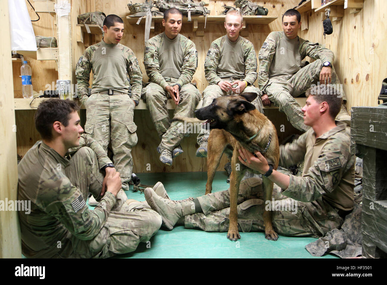Sgt. Thor, tactical explosive detection dog, pauses for a moment while ...