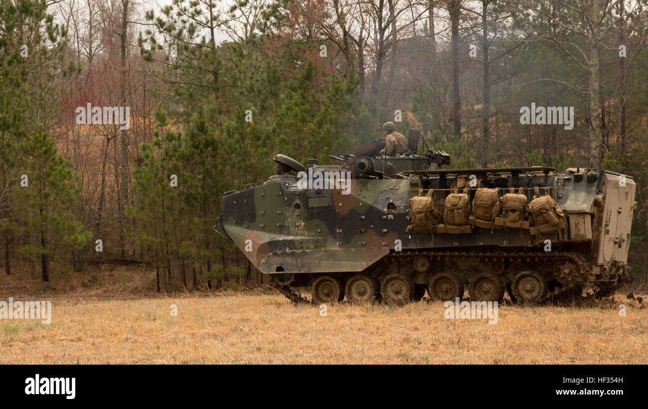 Marines with 2nd Amphibian Assault Battalion provide security and wait ...