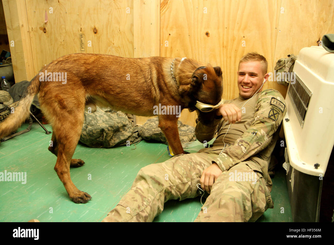 Sgt. Thor, tactical explosive detection dog, searches for his ball on ...