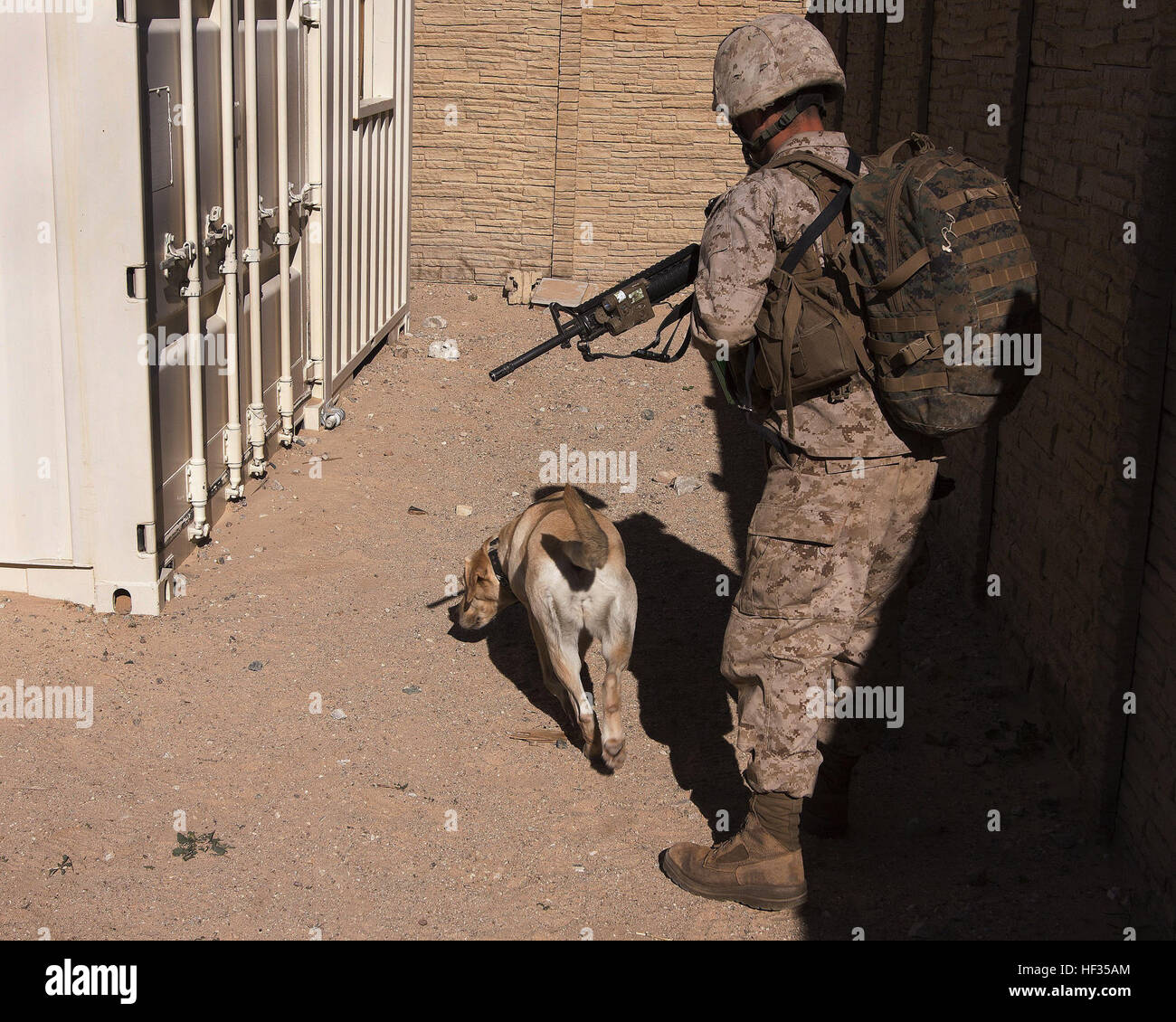 Lance Cpl. Daniel Schueller, dog handler, 2nd Platoon, Bravo Company ...