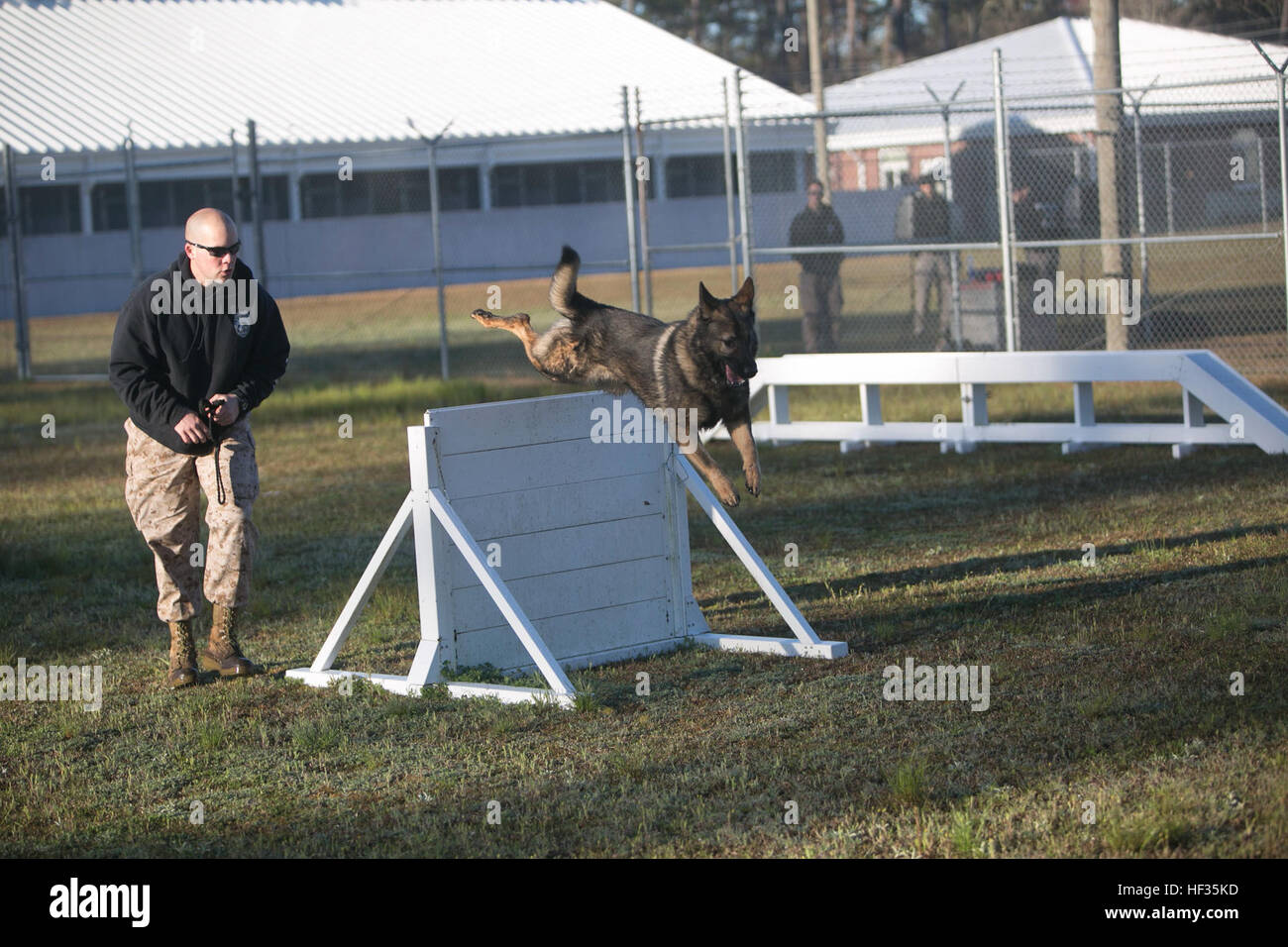 Military working dog handling hi-res stock photography and images - Alamy