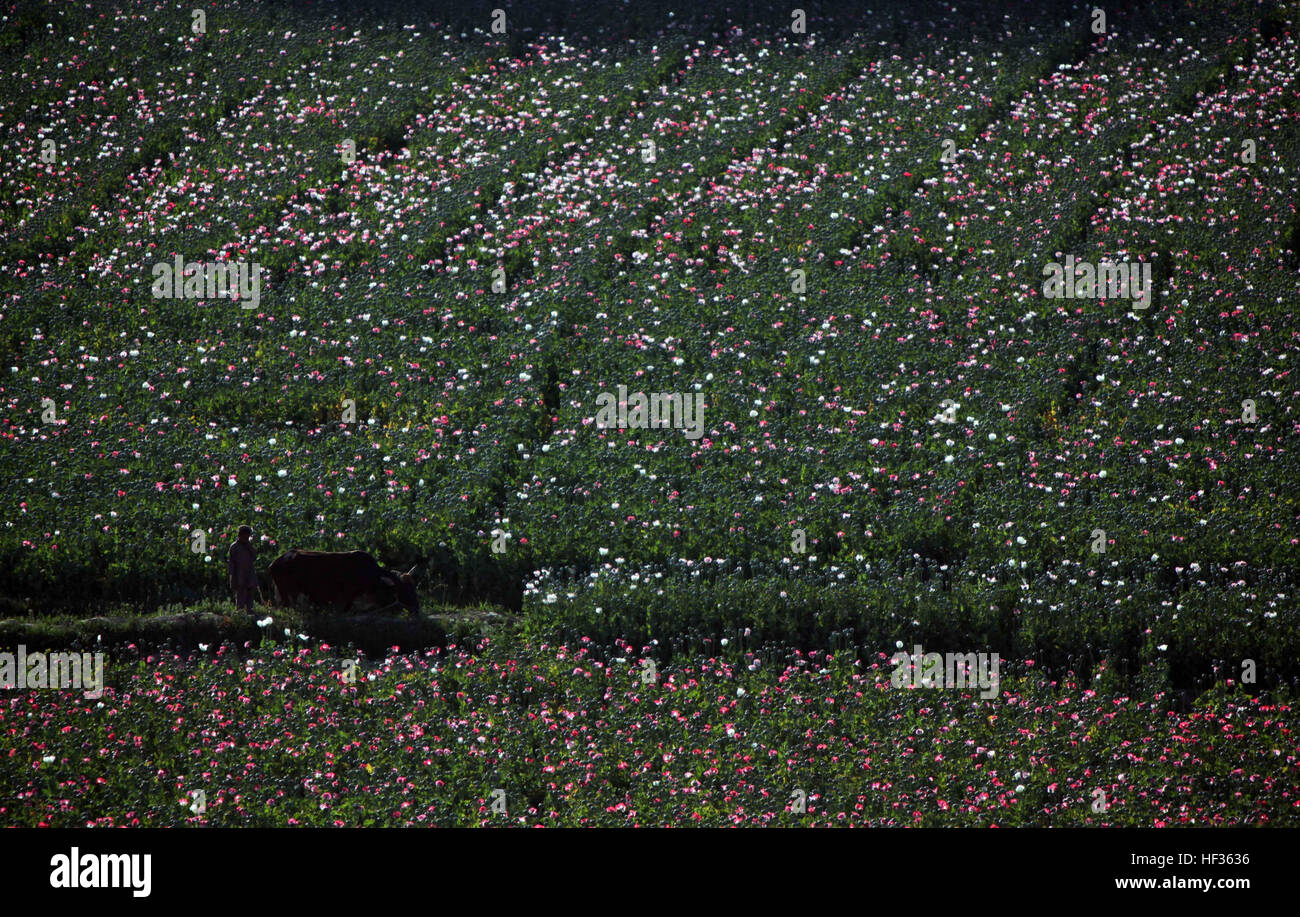 COMBAT OUTPOST OUELLETTE, Helmand province, Islamic Republic of ...