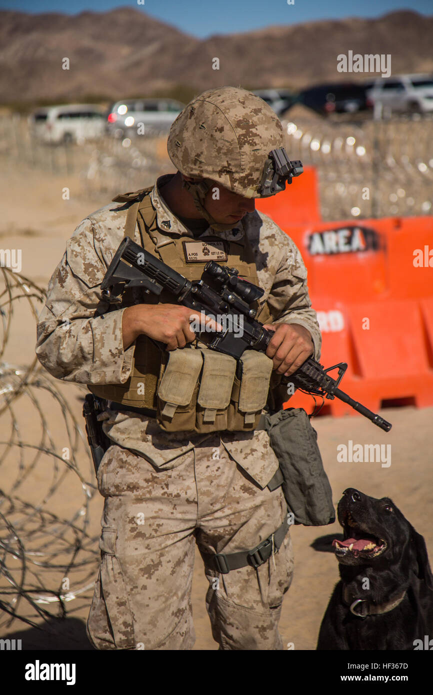 U.S. Marine Cpl. Gerard Scparta, a military police dog handler with 1st ...