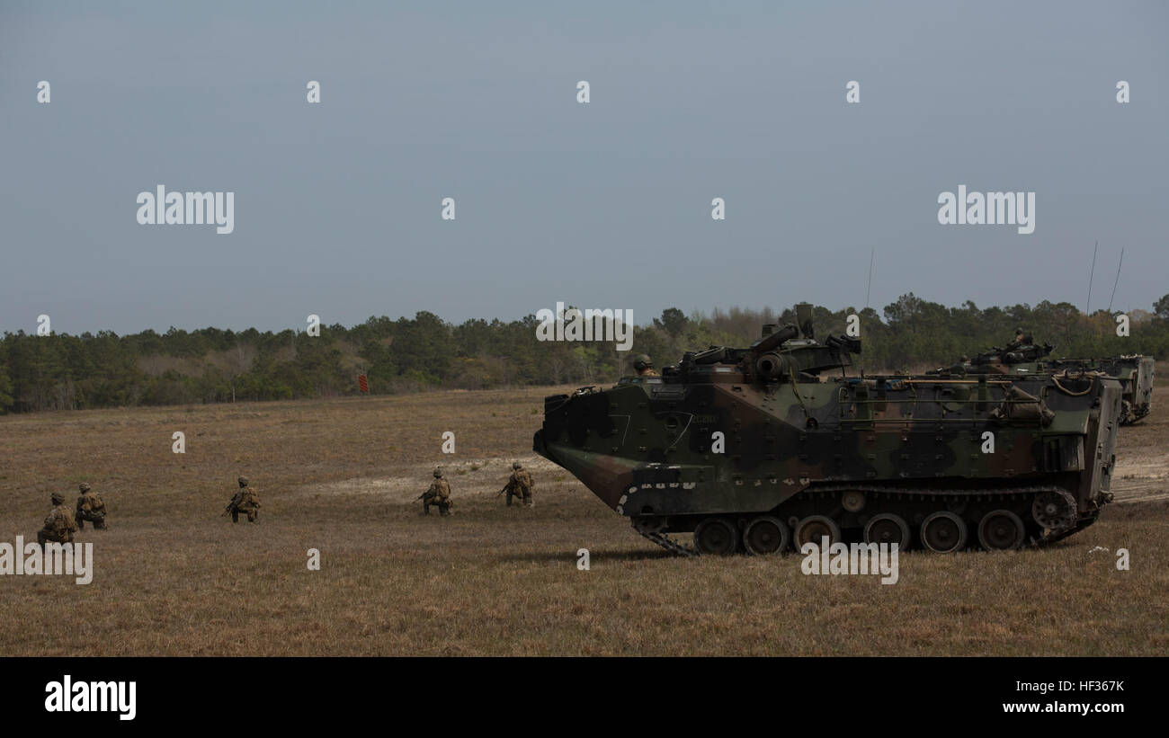 Marines with Charlie Company, 2nd Assault Amphibian Battalion, provide ...