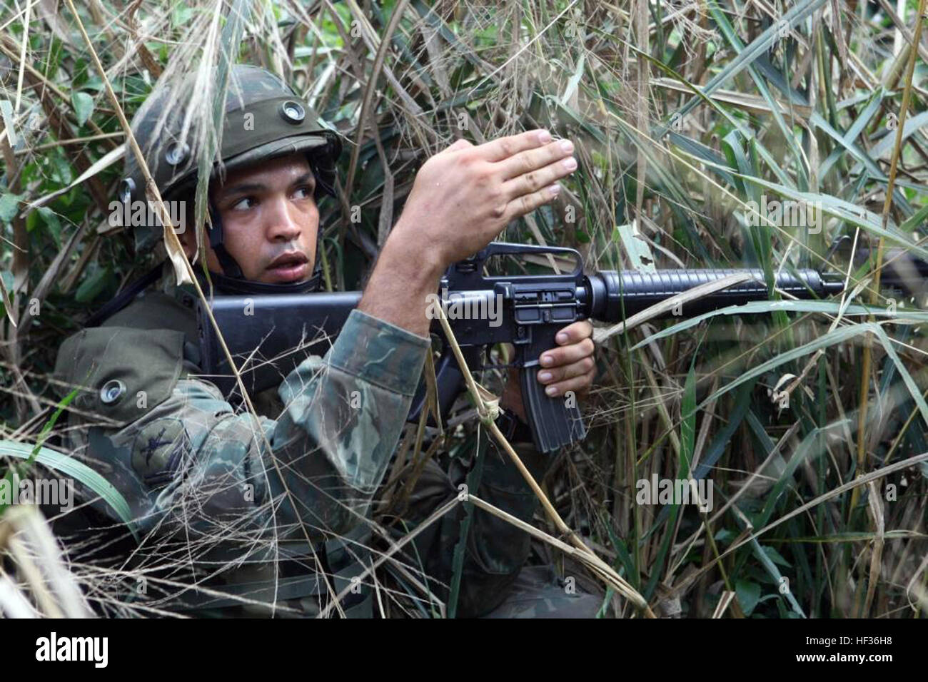 Divisao anfibia hi-res stock photography and images - Alamy