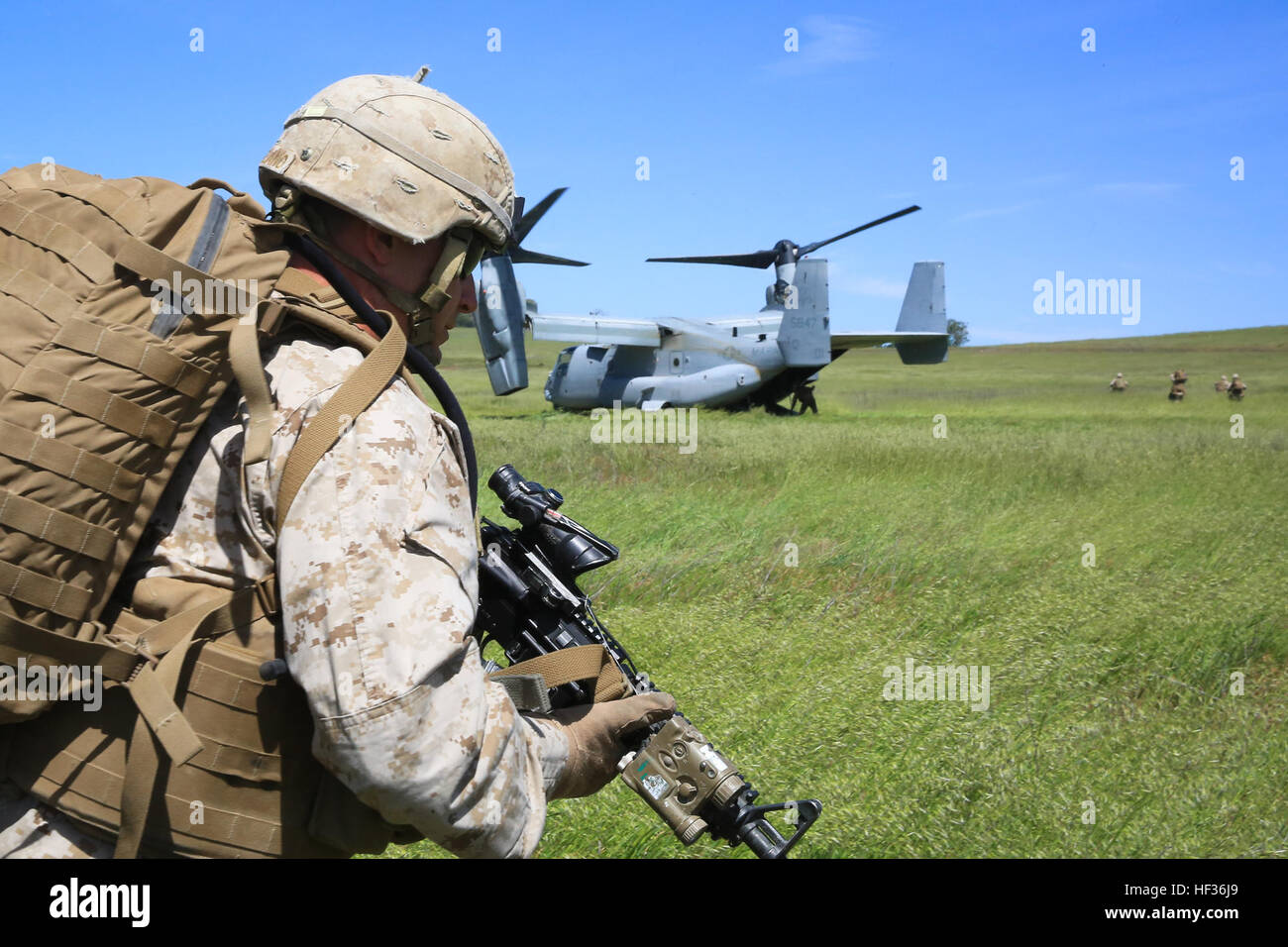 A U.S. Marine assigned to Charley Company, 1st Battalion, 7th Marine ...