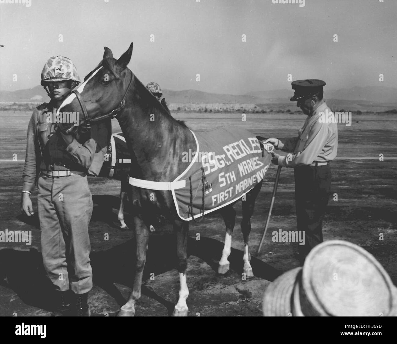 DEFENSE DEPT. PHOTO (MARINE CORPS) A367953 Staff Sergeant Reckless ...