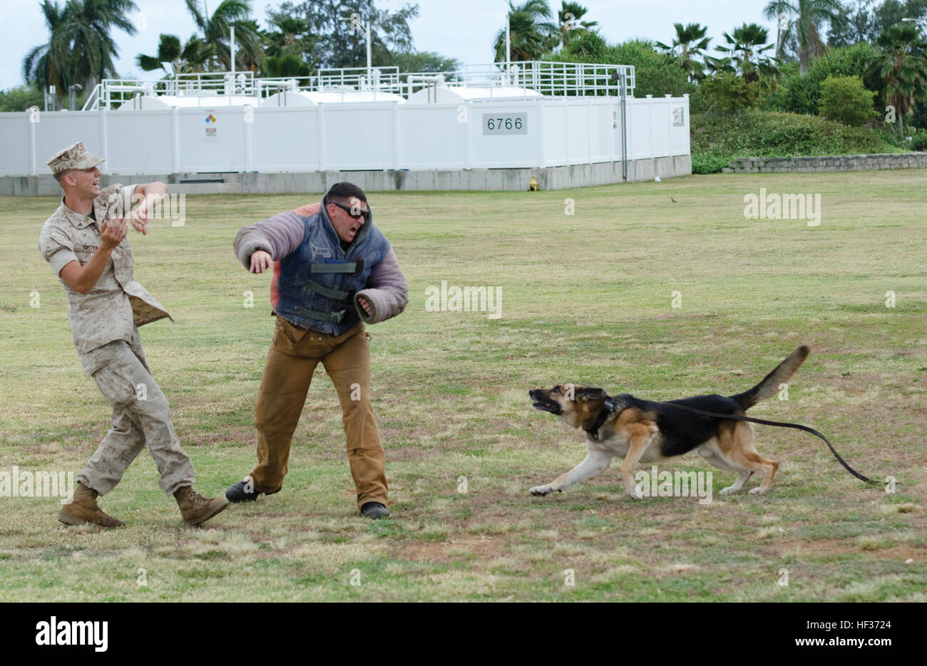 Lance Cpl. Michael Foster (left), a dog trainer with the Provost ...