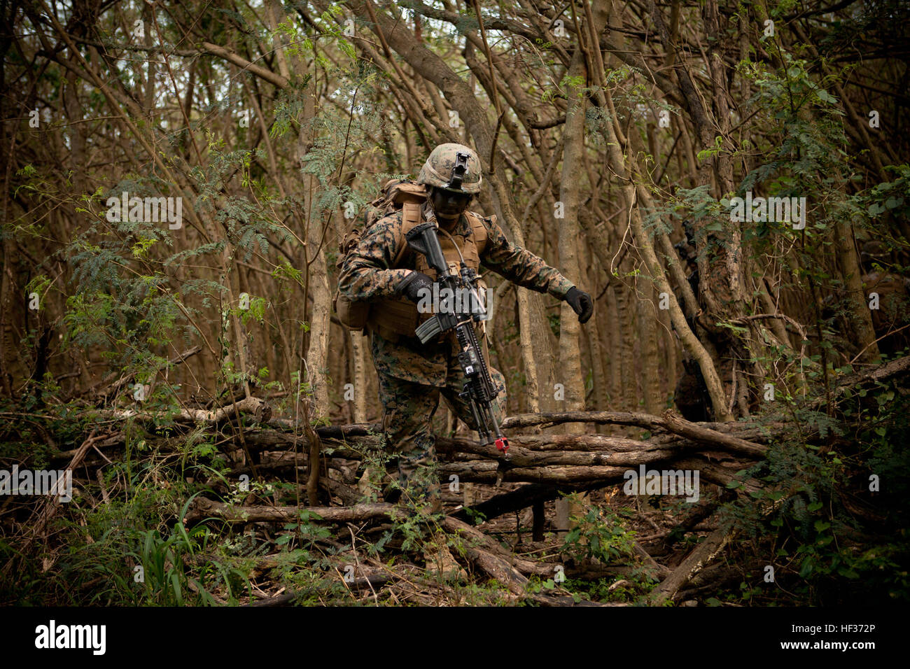 A U.S. Marine assigned to 1st Battalion, Third Marines (1/3) Charlie ...