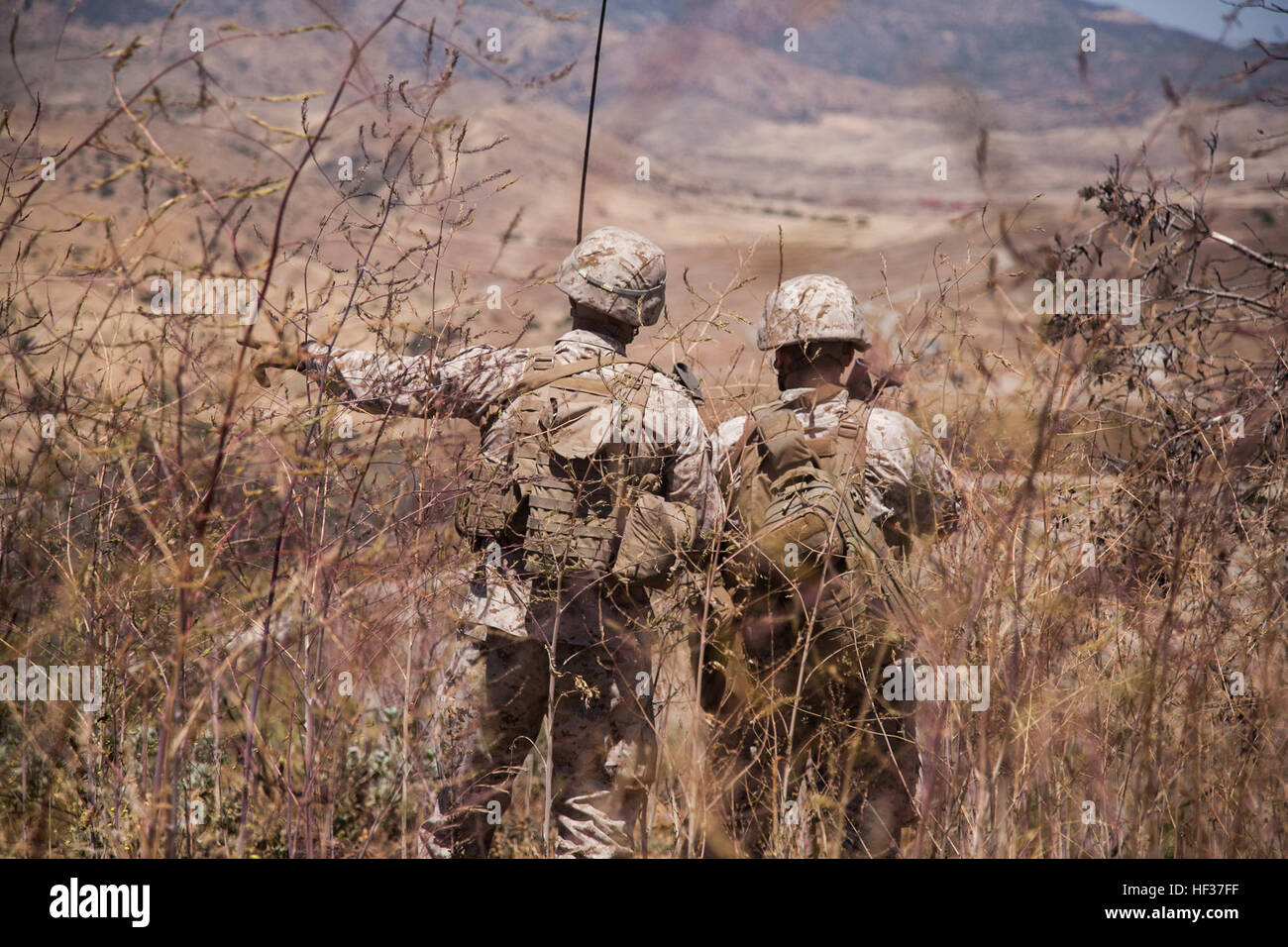 U.S. Marines from 1st Light Armored Reconnaissance Detachment, 3rd ...
