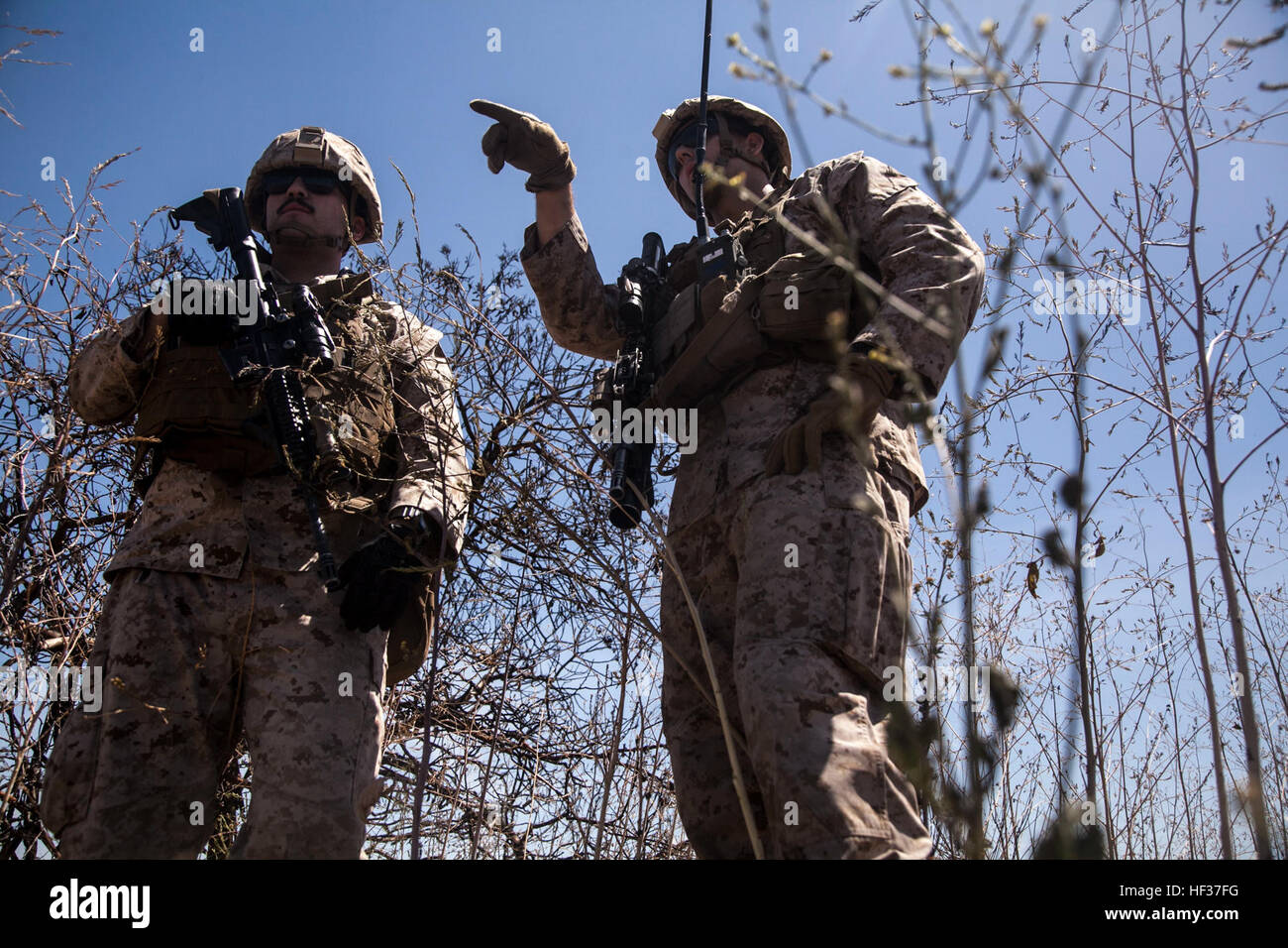 U.S. Marines with 1st Light Armored Reconnaissance Detachment ...