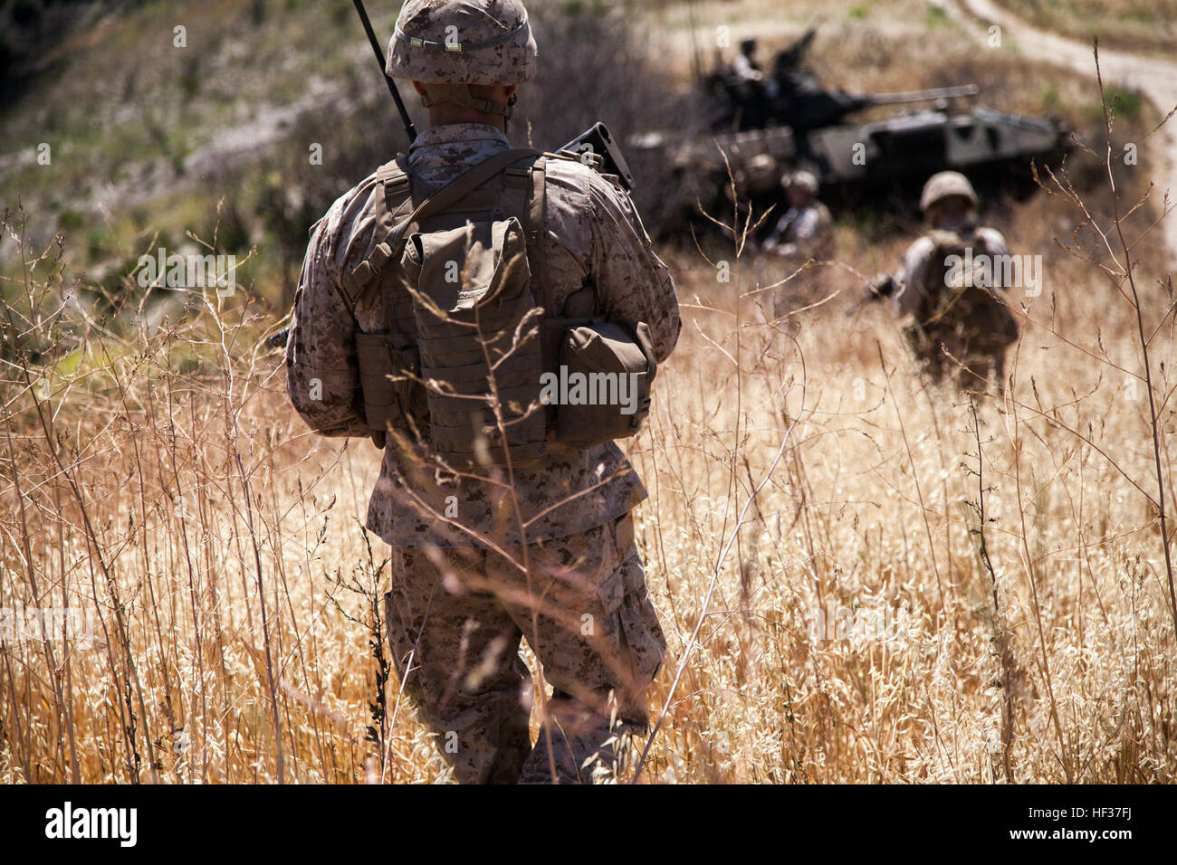 U.S. Marines with 1st Light Armored Reconnaissance Detachment ...