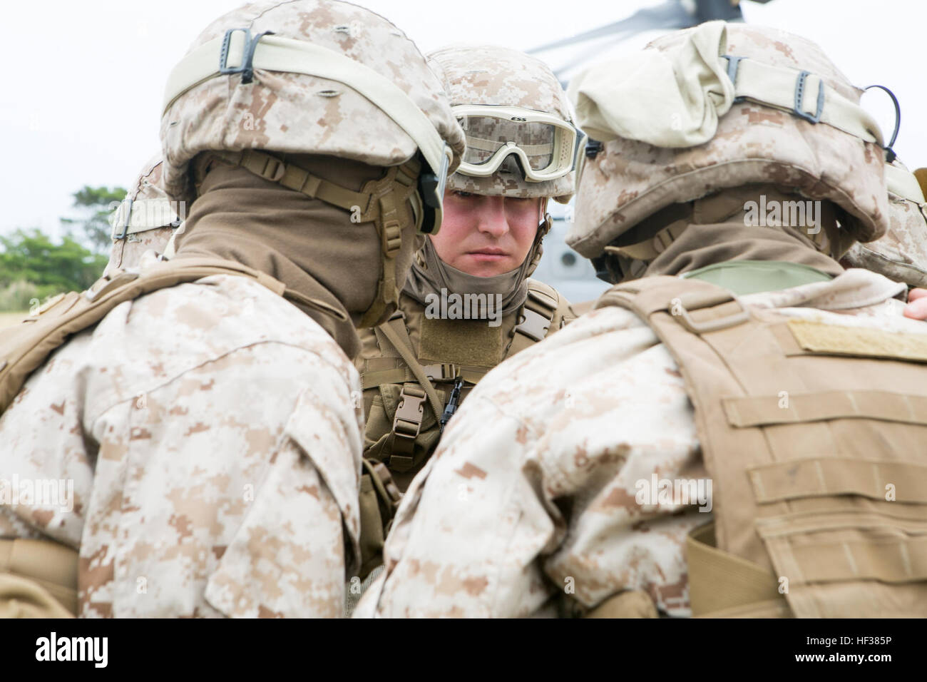 U.S. Marines with Landing Support Platoon, Combat Logistics Battalion ...
